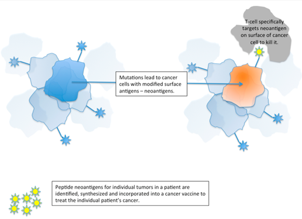 Neoantigen Vaccines Promise To Bring Cancer Therapy To A New Level